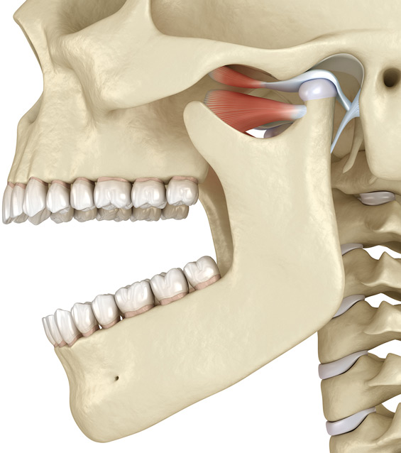 TMJ Disorder | Legacy Dental